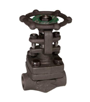 Globe Valves - DN 25 TF-GLV-800-G CARBON STEEL